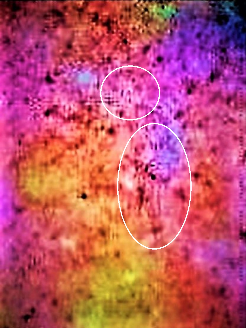 Ce monde invisible qui nous entoure (photo) - Cheminer vers l'Essentiel